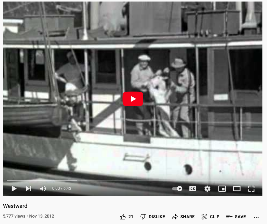 M/V Westward Short Video » Port Townsend Marine Trades Association